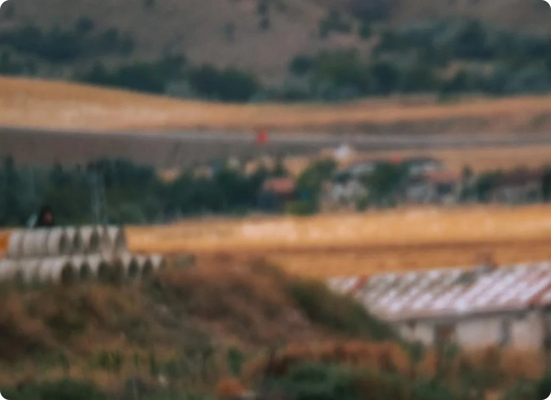 Remove BG Online: Instant & Free Background Remover - AI Ease